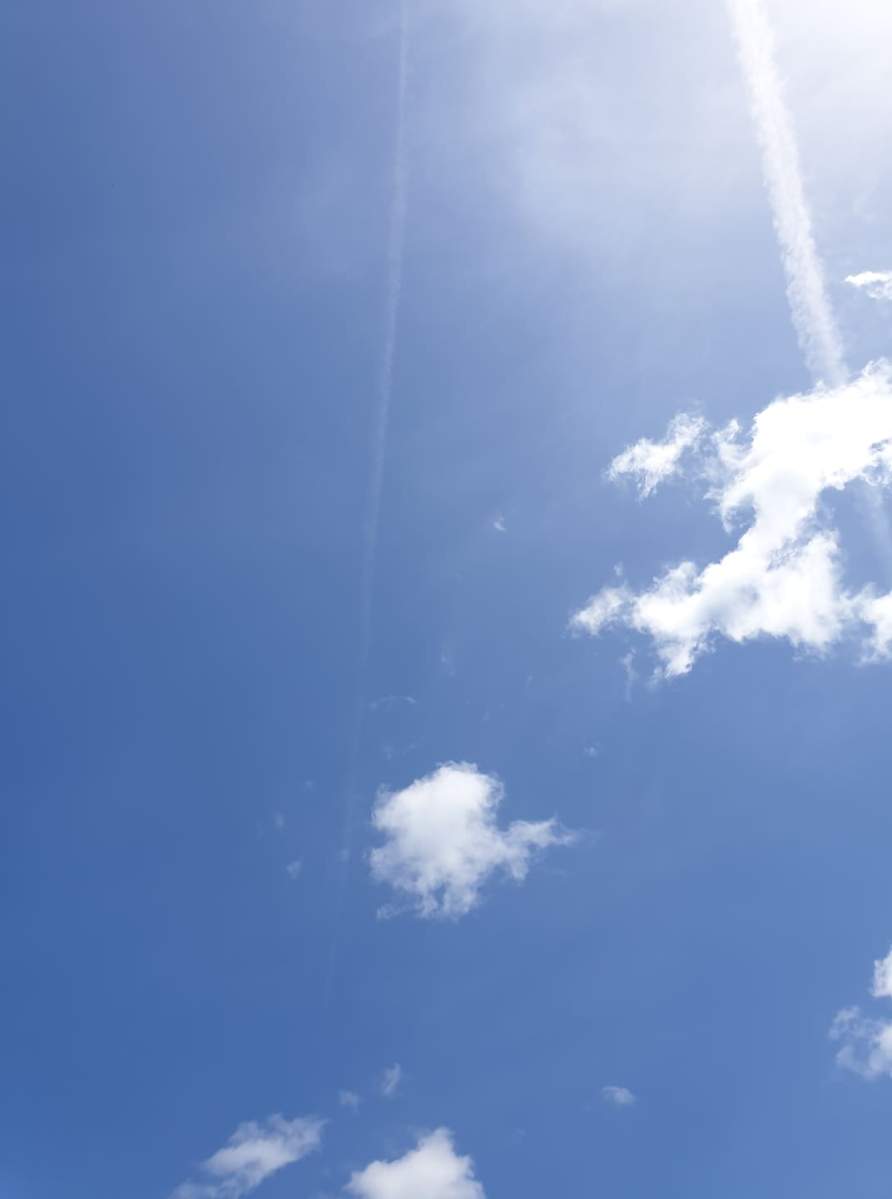 A New Horizon – Ann Gerety Smyth