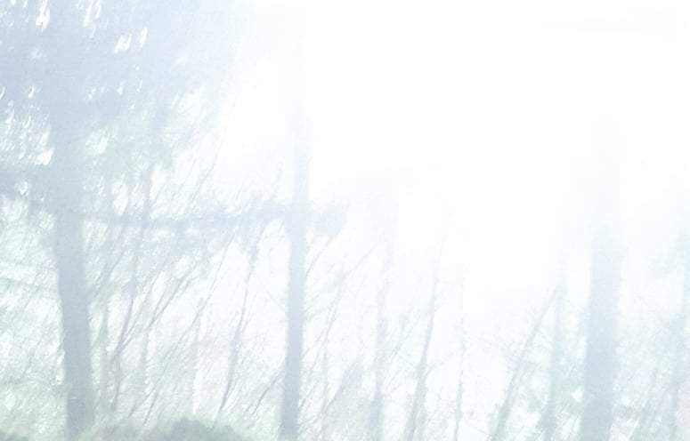 Moment Made – Ann Gerety Smyth